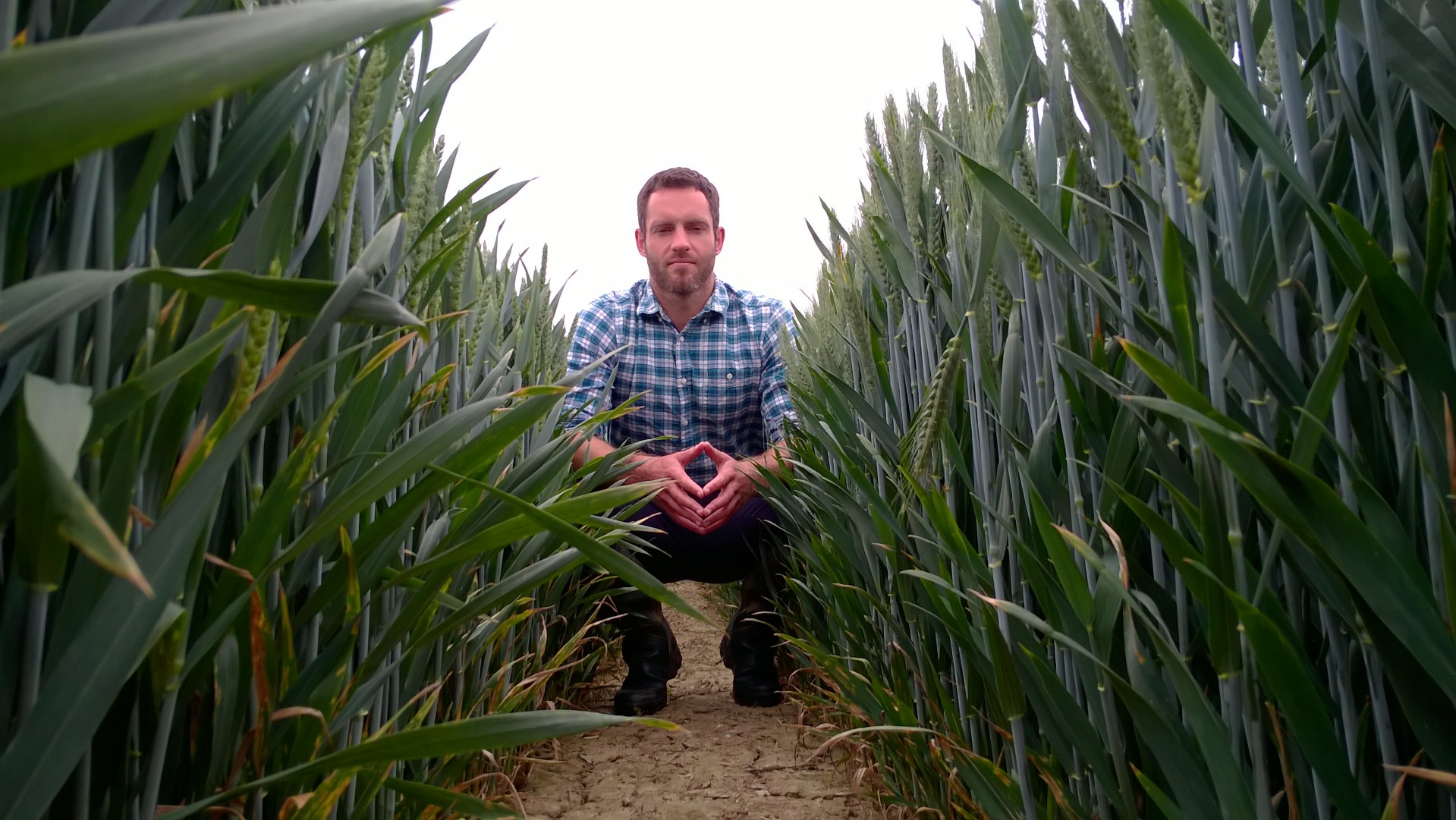 On-farm innovator - Trialled and trusted - Crop Production Magazine