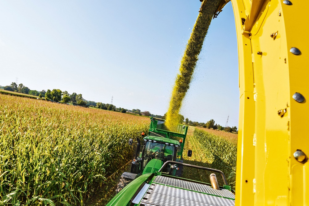Renewables - Energy maize needs different approach - Crop Production ...