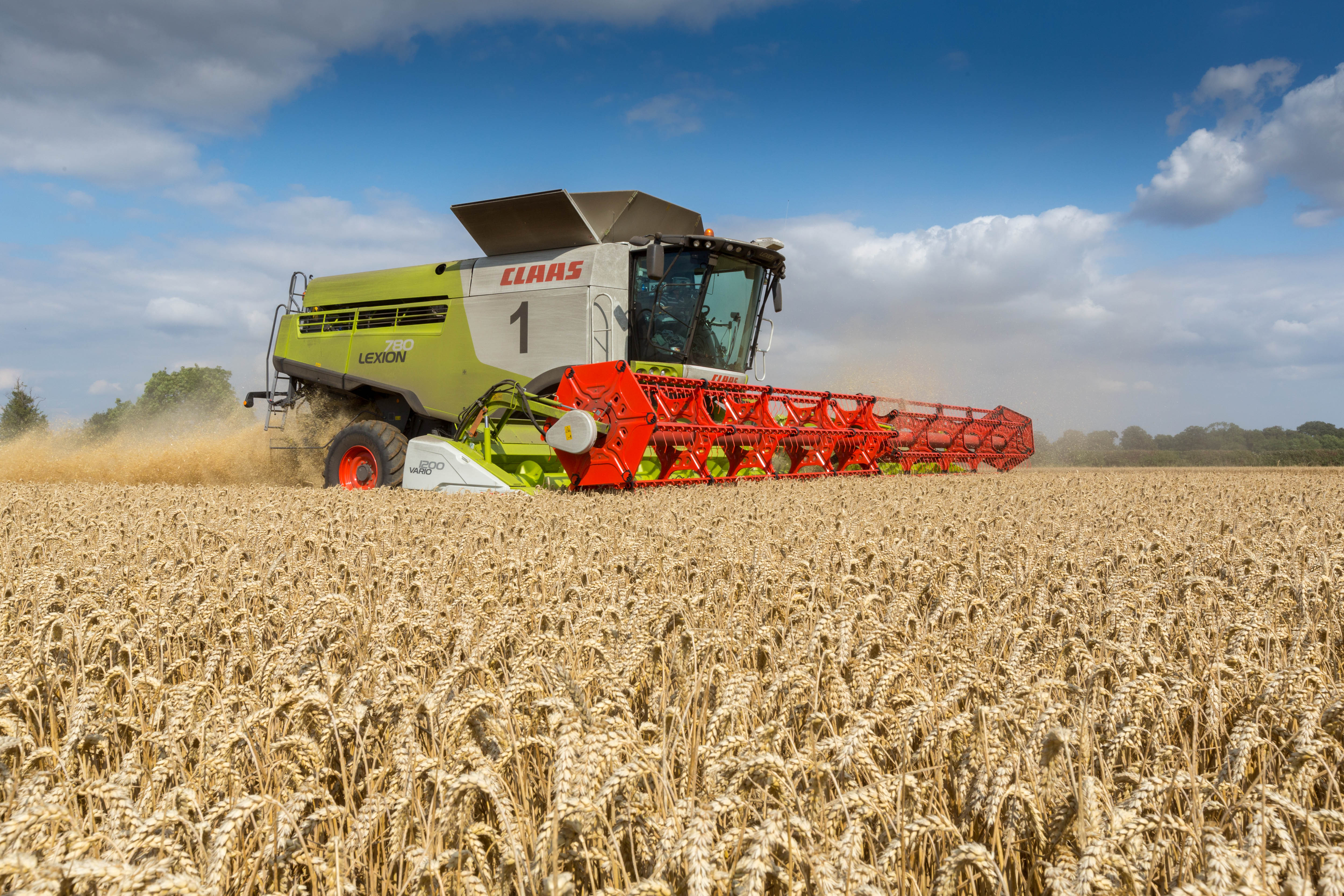 The lure of premium potential - Group 3 wheats - Crop Production Magazine