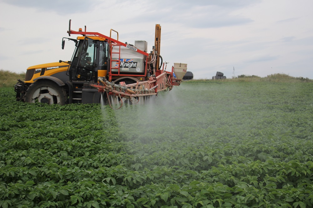 Blackleg in potatoes - Rapid haulm destruction key to blackleg control ...