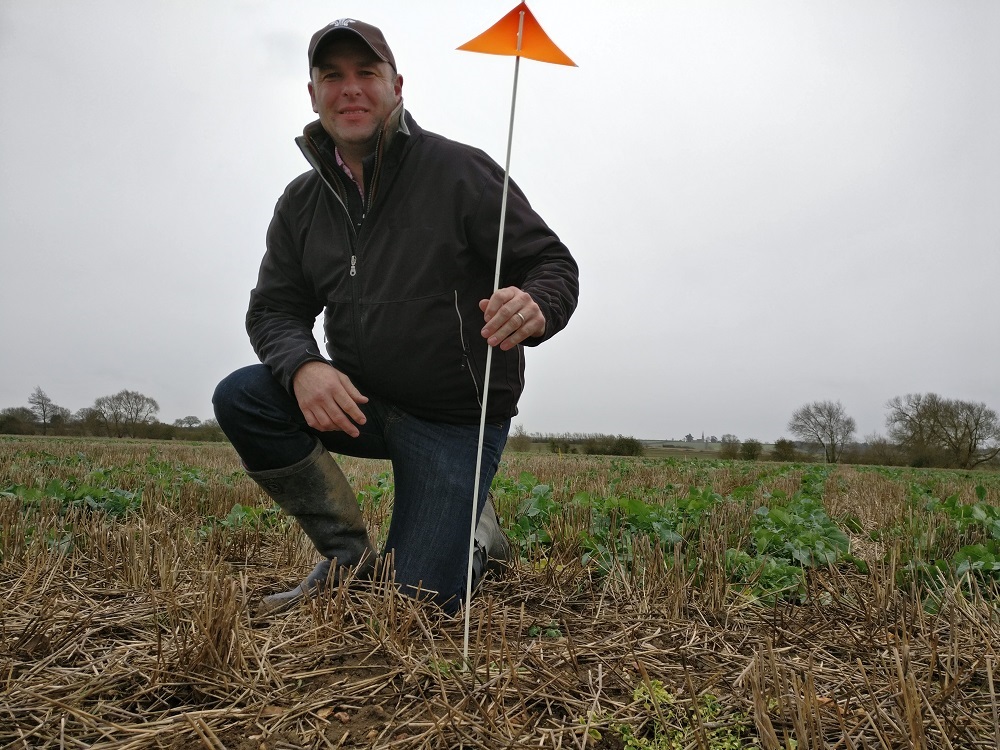 Real Results - Confidence builds through on-farm trials - Crop ...