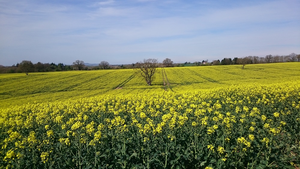 Aiming for a clear advantage - Crop Production Magazine