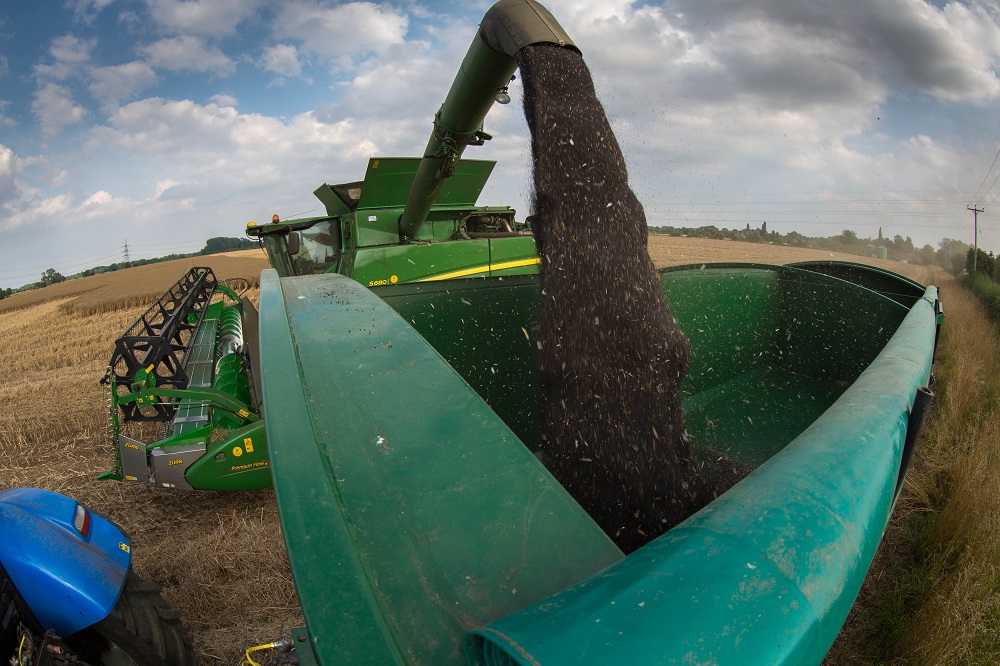 Oilseed rape - Challenging times for OSR? - Crop Production Magazine