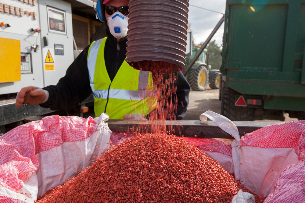 Seed treatments - An insurance worth having? - Crop Production Magazine