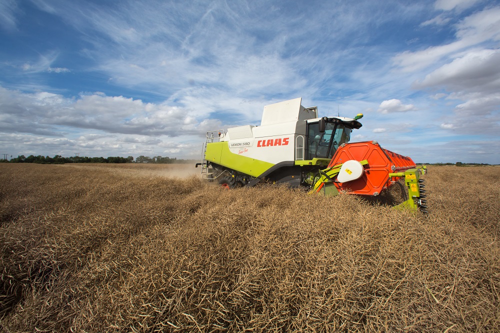 Sustainable OSR - Different approach, same high potential - Crop ...