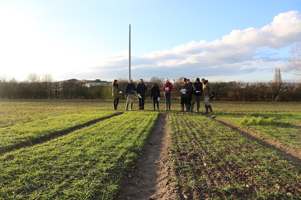 Root Matters - Getting to the root of the problem - Crop Production ...