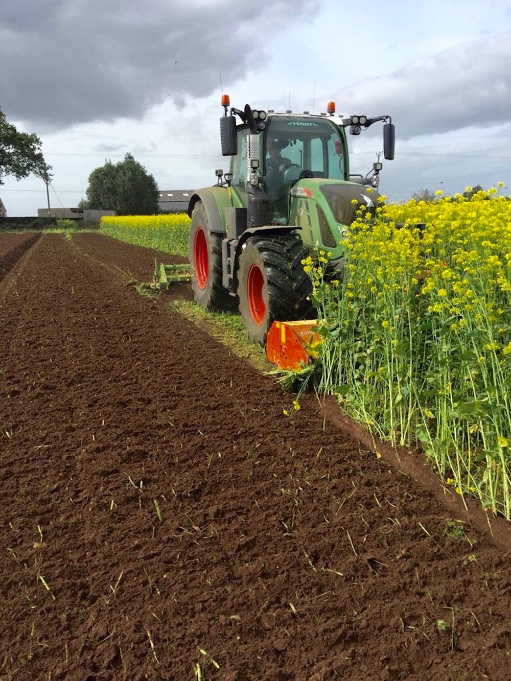 Potatoes - Vindaloo turns up the heat - Crop Production Magazine