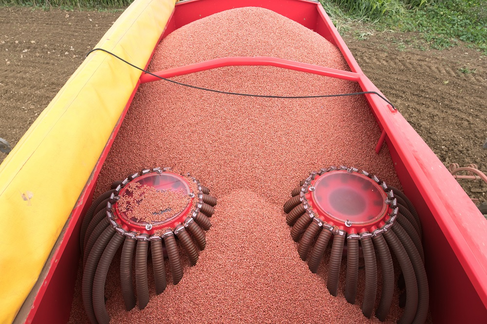 Seed treatments -Precision farming at its best - Crop Production Magazine