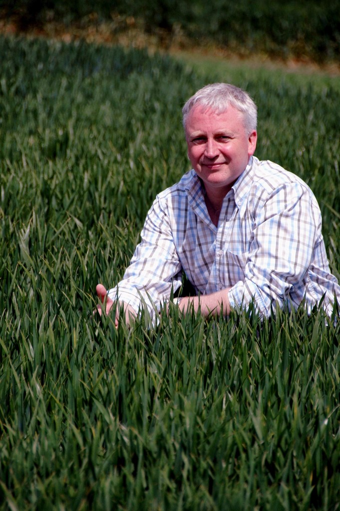 ‘Exceptionally warm’ weather tests variety performance - Crop ...