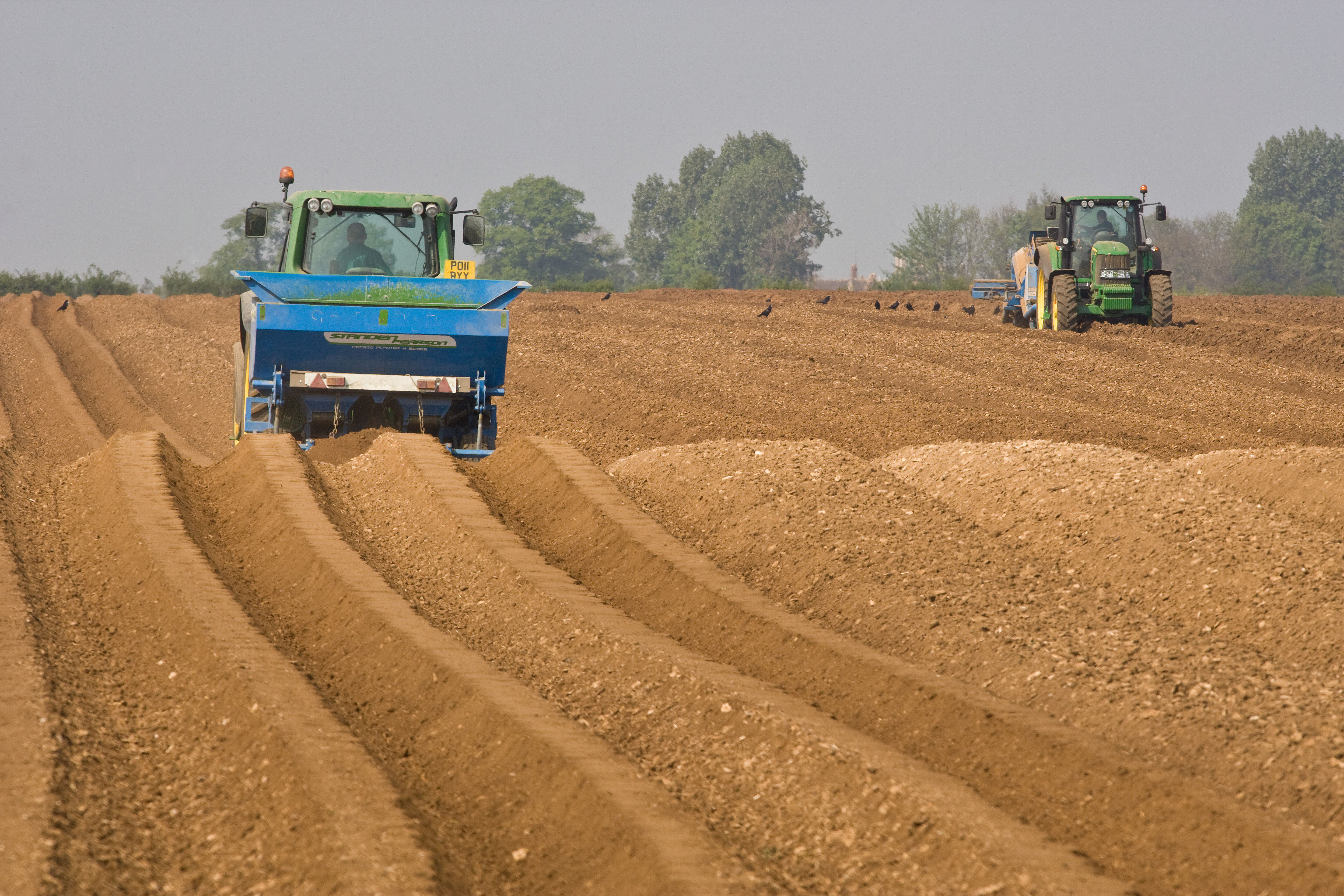 New online granule nematicide training module launched - Crop ...