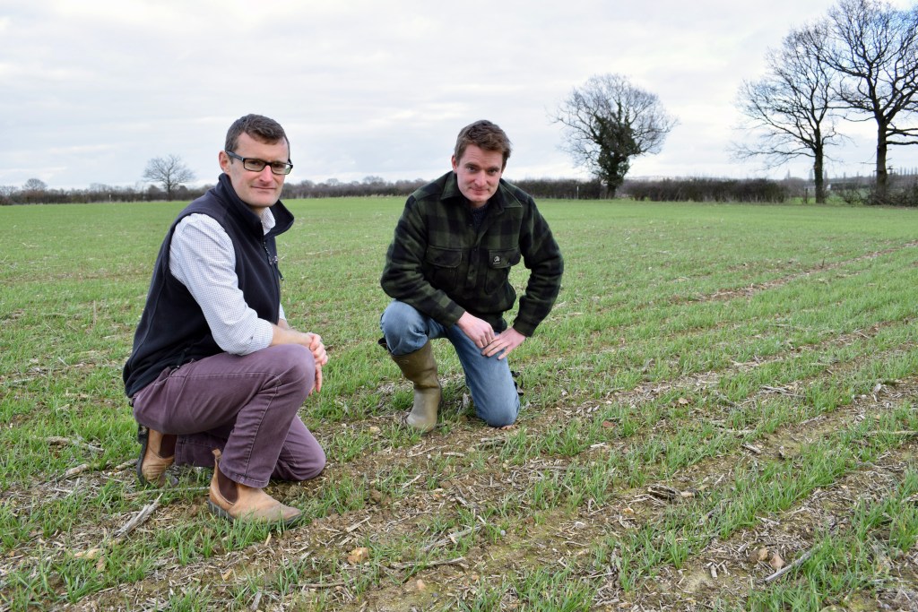 Precision agronomy - Digital tool drives agronomy decisions - Crop ...