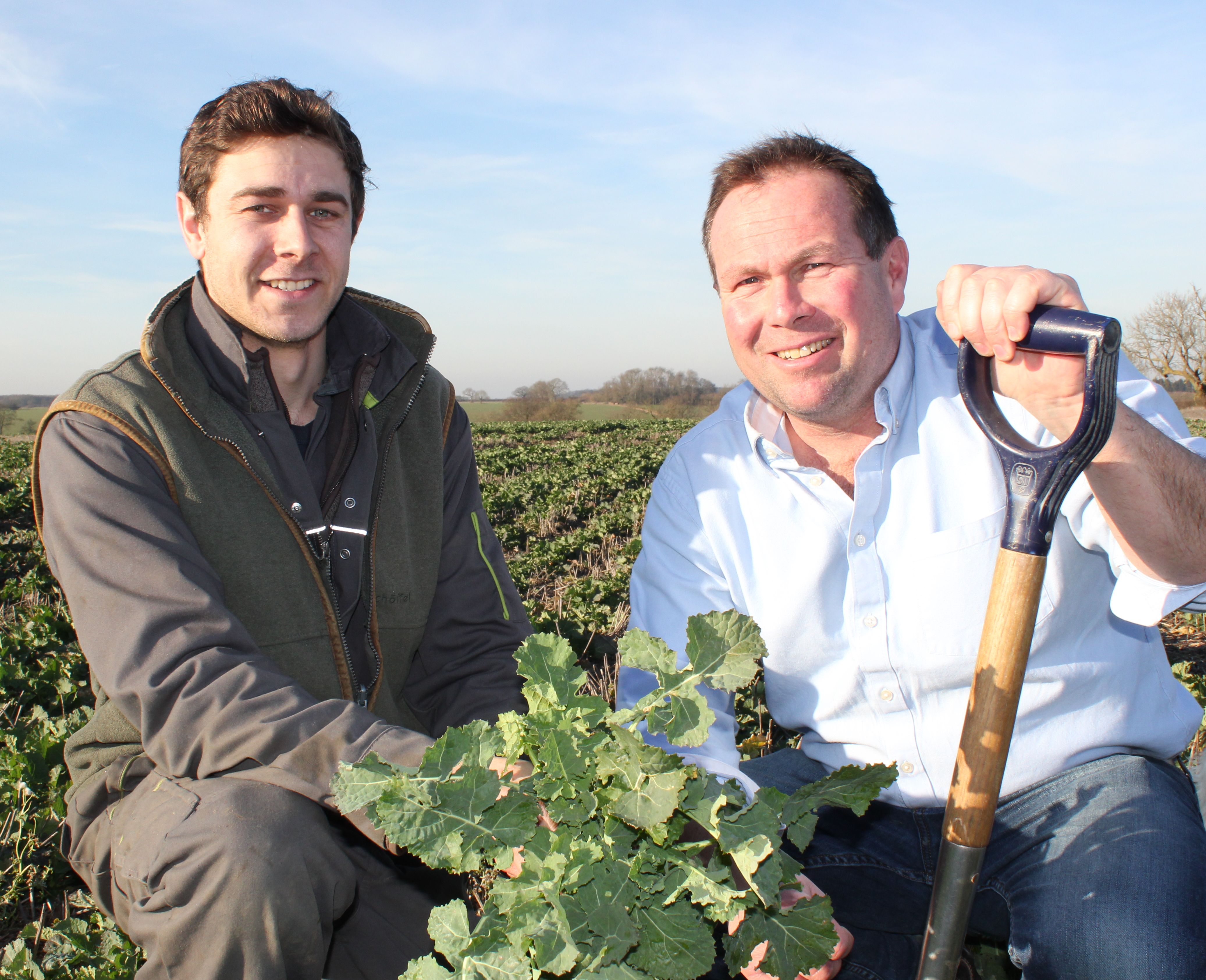 OSR improvement - Consistency key for top crops - Crop Production Magazine