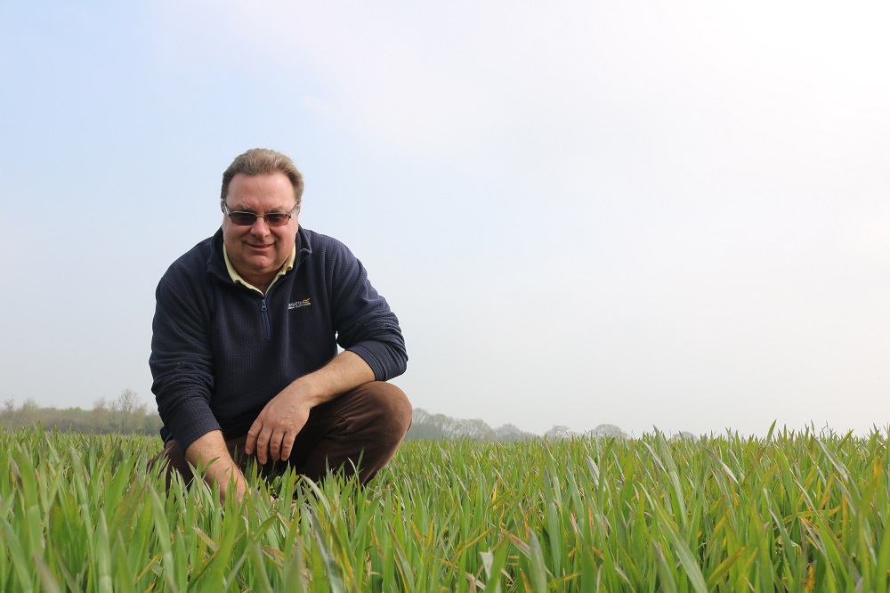 Fit for the future - The luring glow of a market opportunity - Crop ...