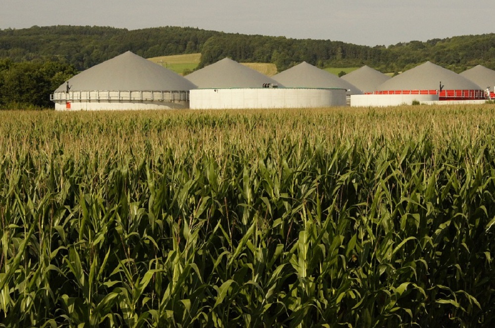 Biogas - Growing for gas - Crop Production Magazine