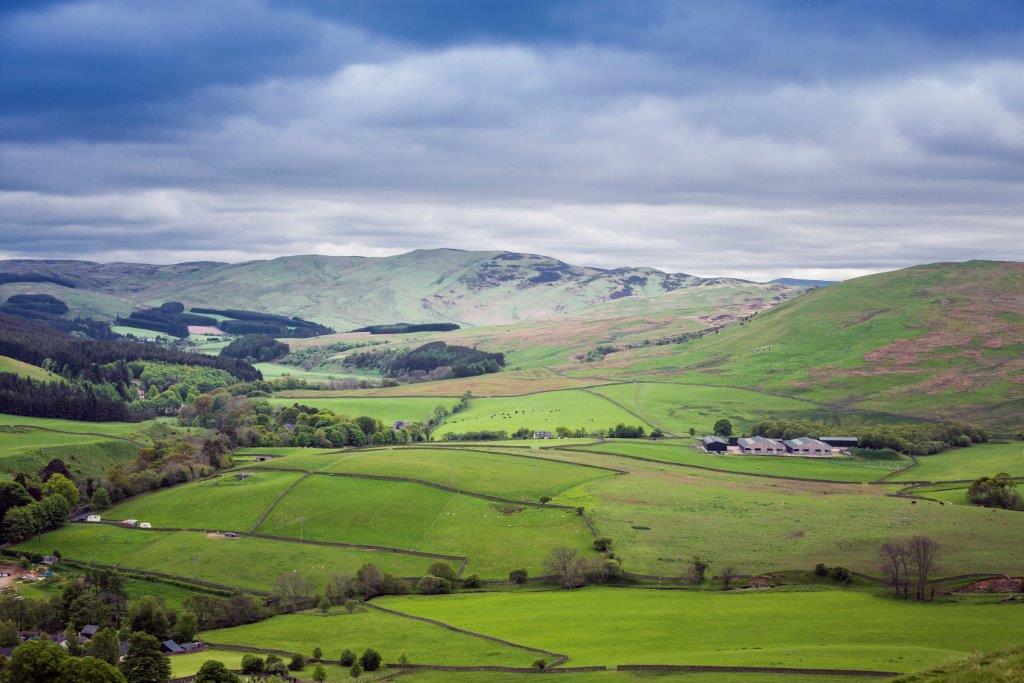 Countryside Stewardship scheme opens for 2023 agreements - Crop ...