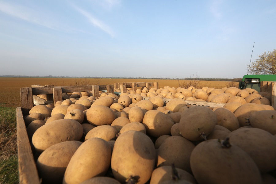 Tuber treatments - Rethinking tuber treatment? - Crop Production Magazine