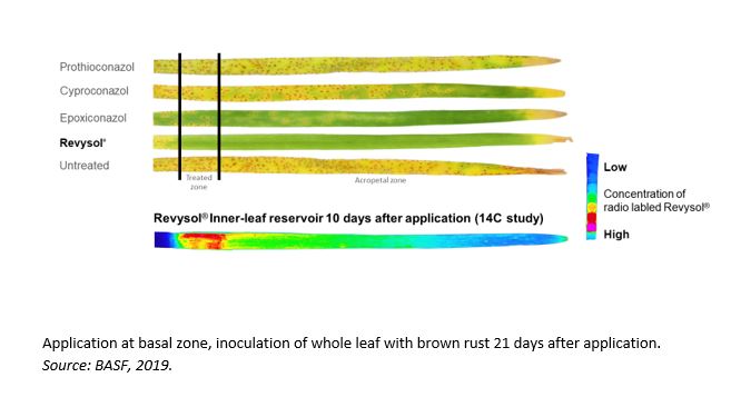 A revylation in the field? - Crop Production Magazine