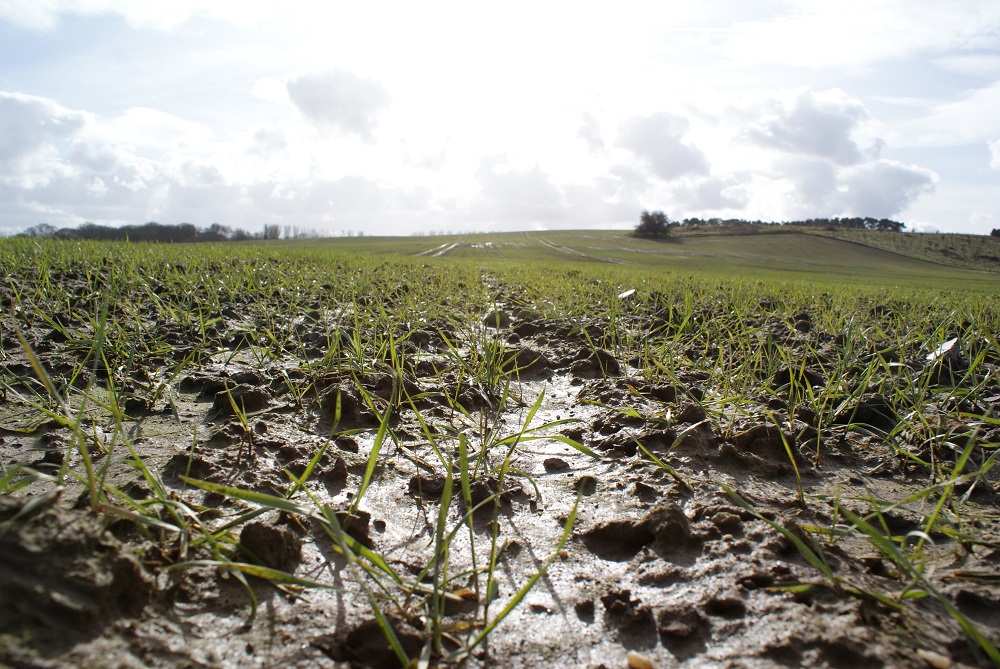 Take Control - Remedy required for lost N - Crop Production Magazine