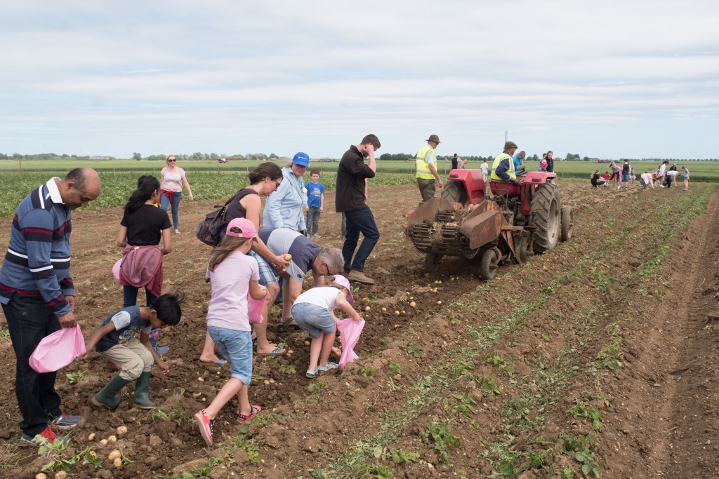 Alltech launches competition to champion food and farming ambassadors ...