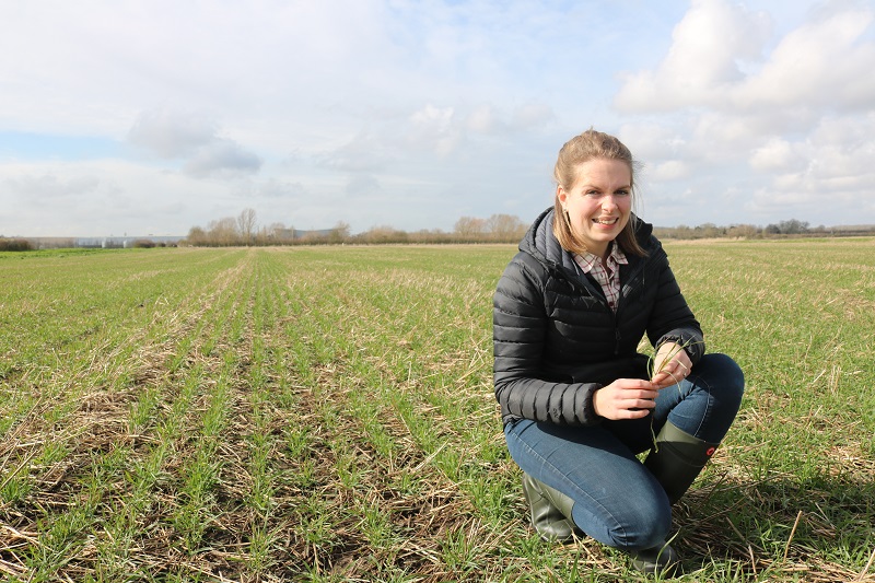 Real Results Pioneers - A unique comparison - Crop Production Magazine