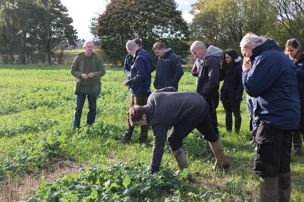 OSR agronomy - When farming meets science - Crop Production Magazine