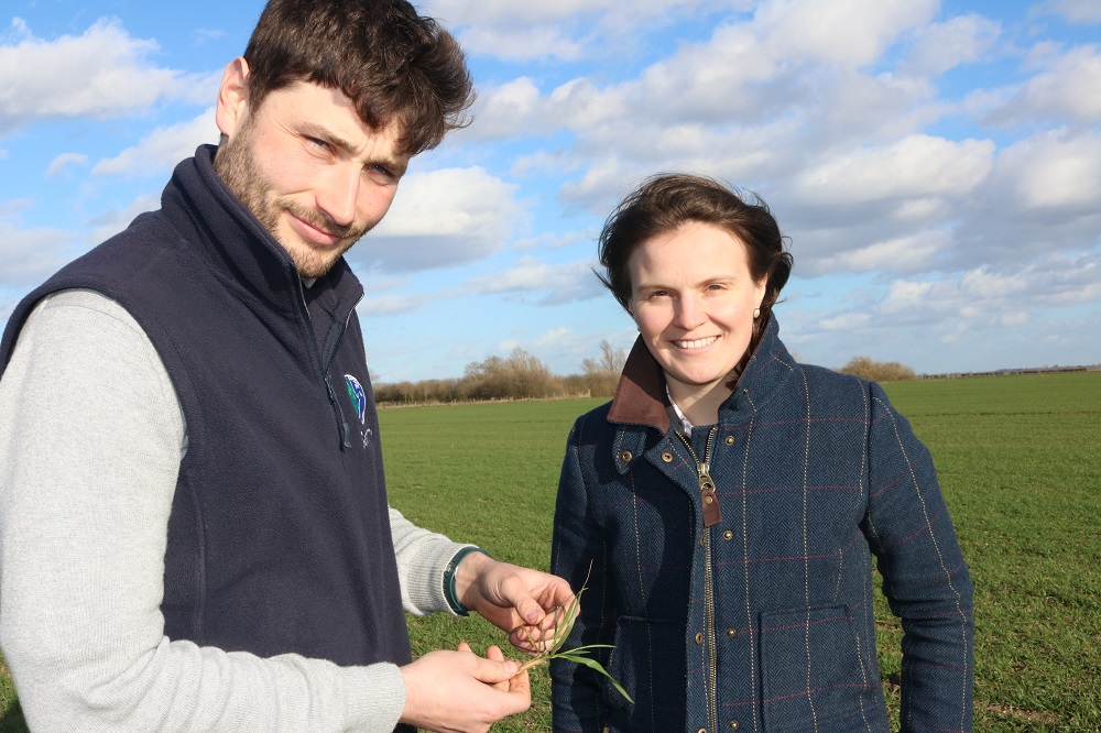 Partners in Performance - The discipline of good decisions - Crop ...