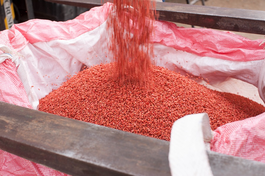 Seed treatments - To treat, or not to treat? - Crop Production Magazine