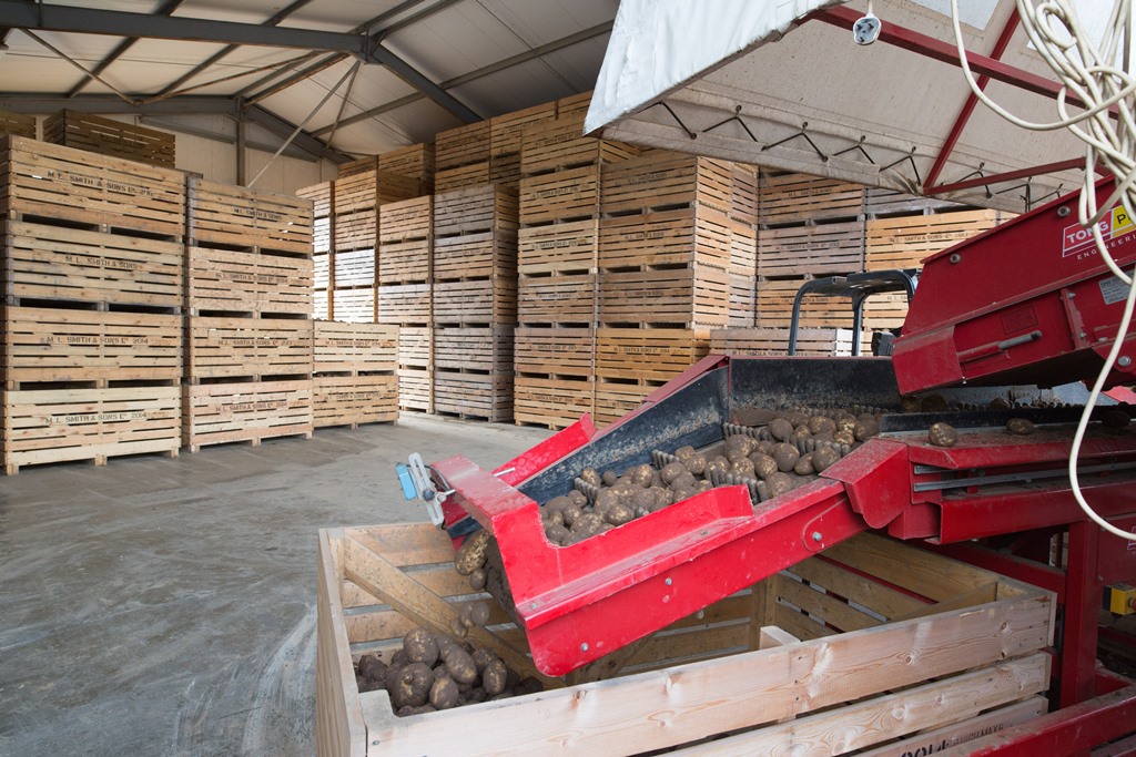 Theory to Field - Integrated approach for sprout control - Crop ...