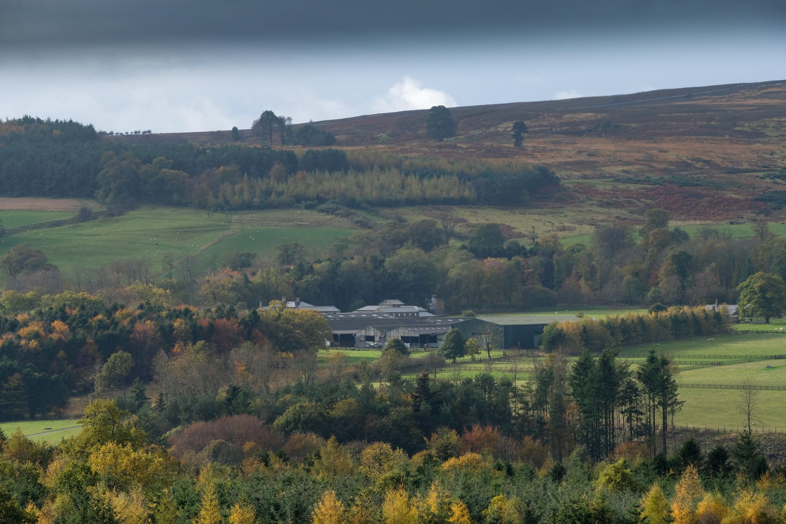 RABI to introduce 24/7 helpline for farming community - Crop Production ...