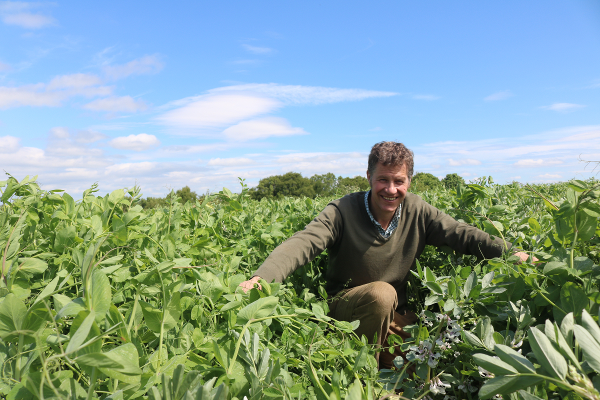 PGRO Progress - A blend of benefits - Crop Production Magazine