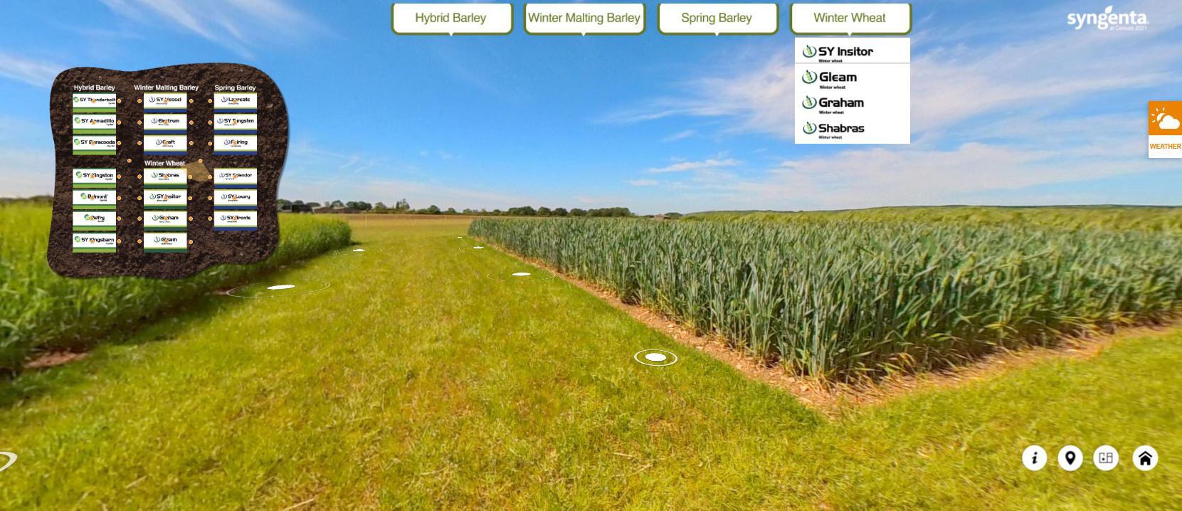 Syngenta launches virtual 360-degree variety tours - Crop Production ...