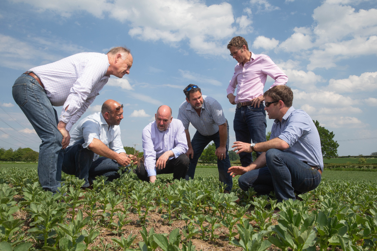 Green Farm Collective - Value-added farming - Crop Production Magazine