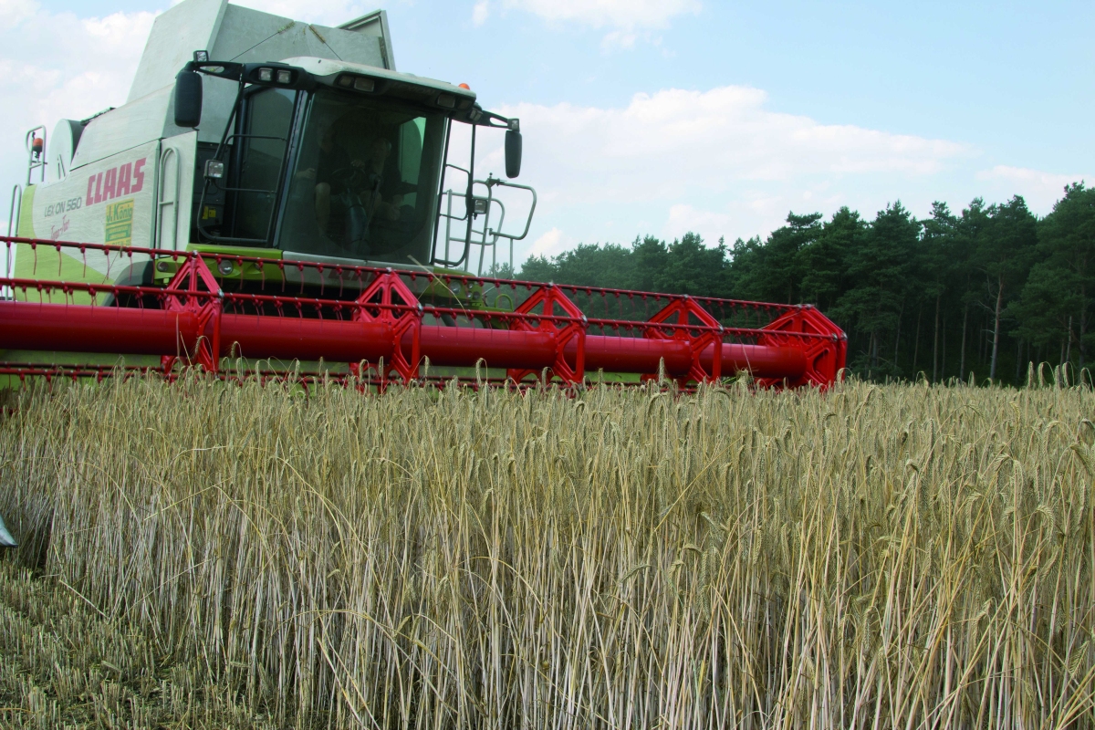Managing hybrid rye - Crop Production Magazine