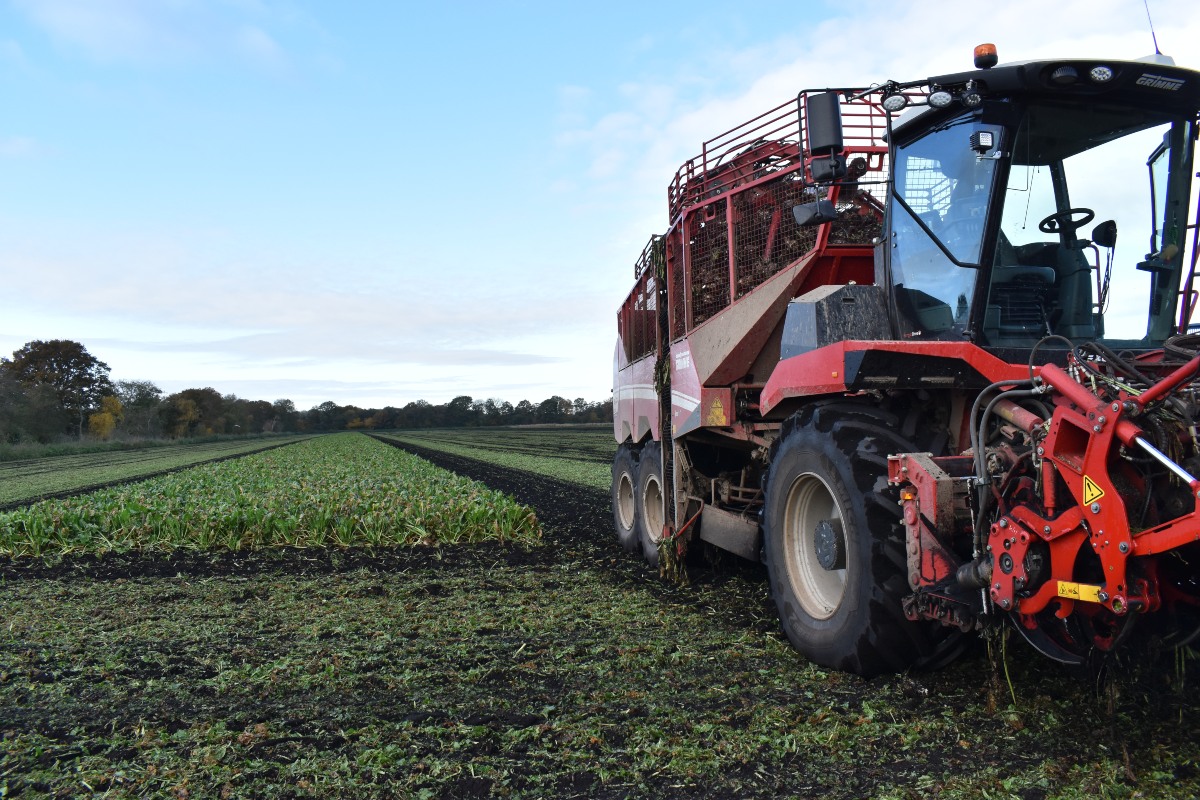 Machinery masterclass - Grimme Rexor 6300 Platinum beet harvester ...
