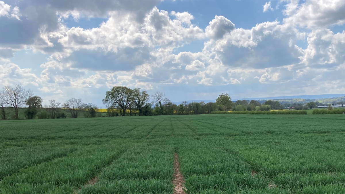 Crop Doctor - All to play for - Crop Production Magazine