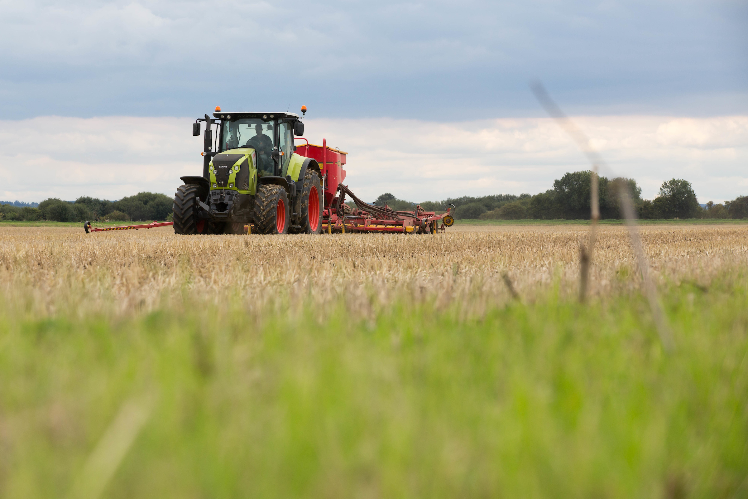 Patience required to stop soils slumping, warns Hutchinsons - Crop ...