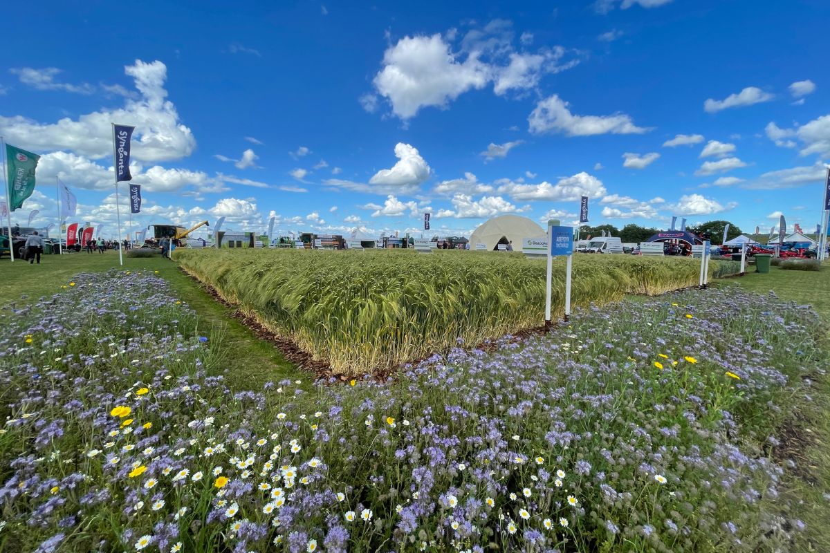 Cereals Event Report: Uncertainty Surrounds The Future - Crop ...