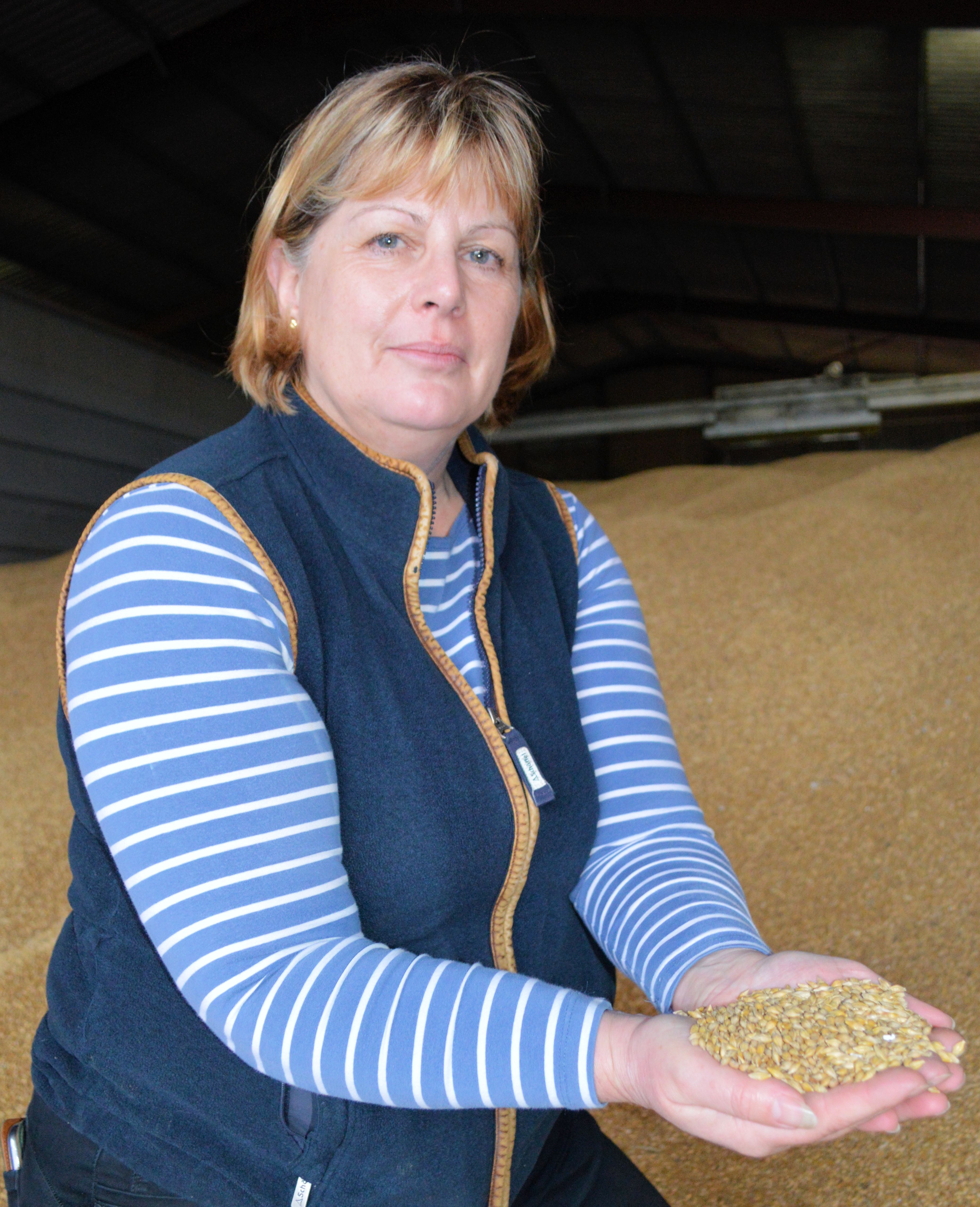 Taking the Skyway - Crop Production Magazine