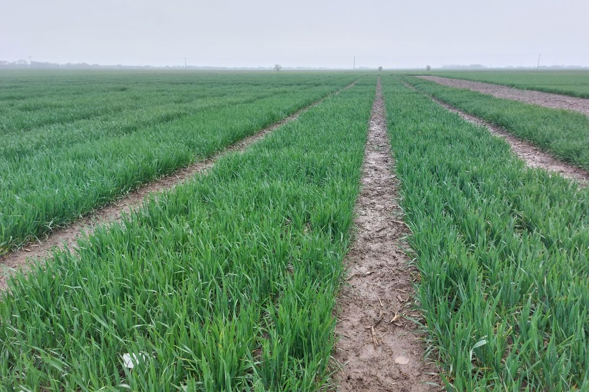 On-farm reality - Crop Production Magazine