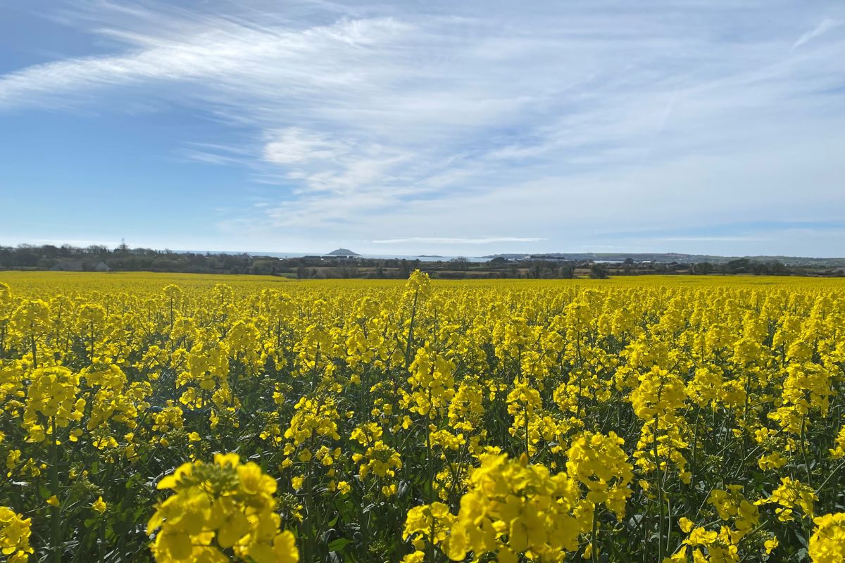 Stack them high - Crop Production Magazine