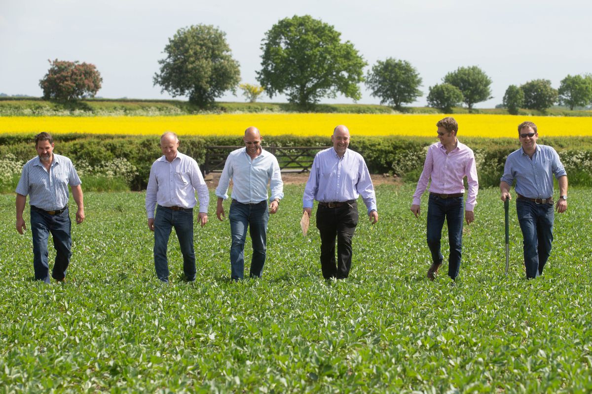 Green Farm Collective: The soil biology-food connection - Crop ...