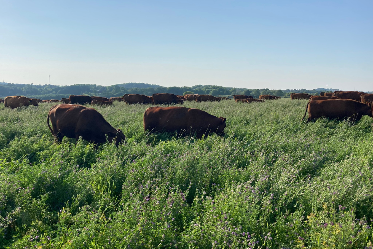 Nuffield lessons - Crop Production Magazine