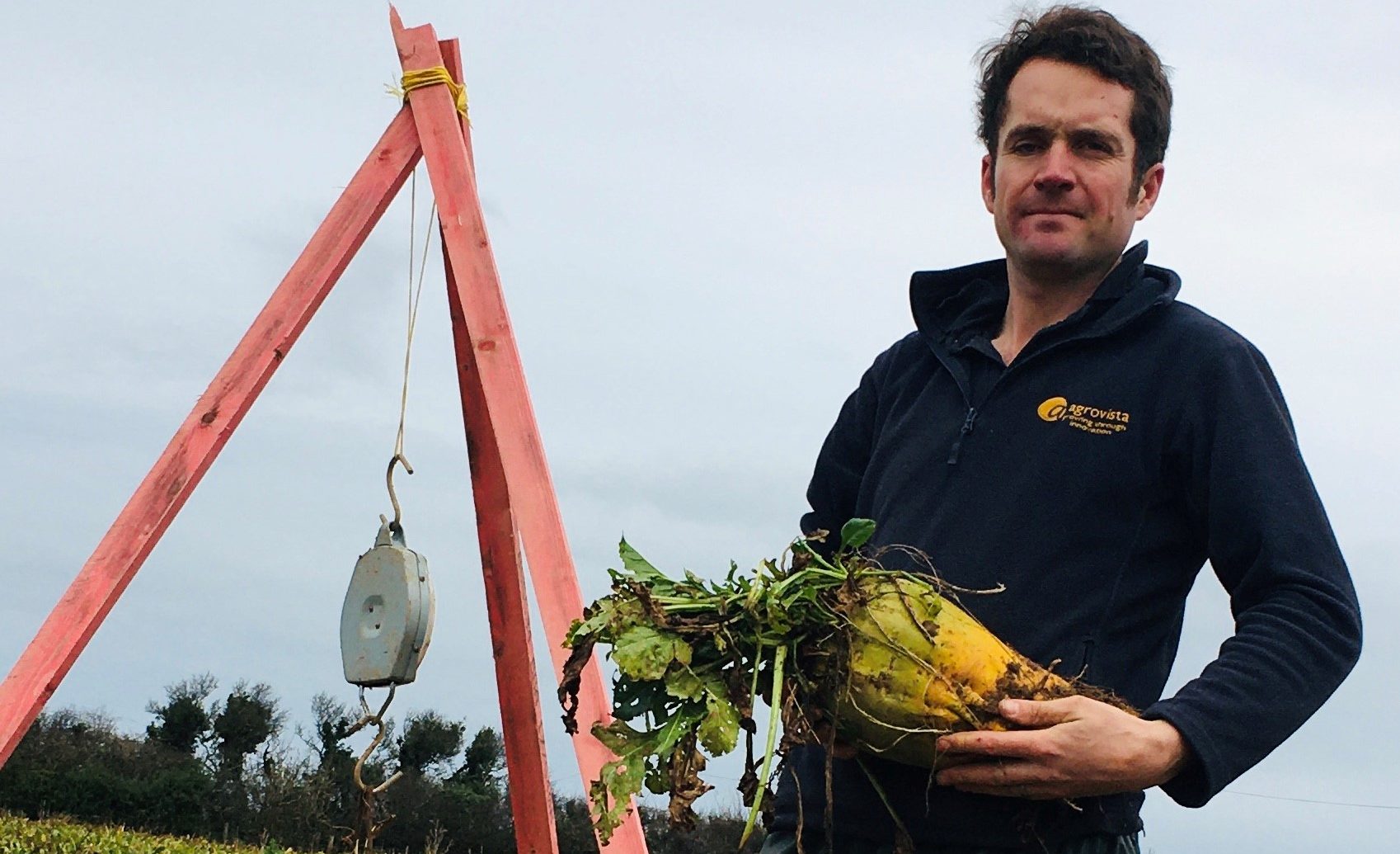 A fresh look at fodder beet - Crop Production Magazine