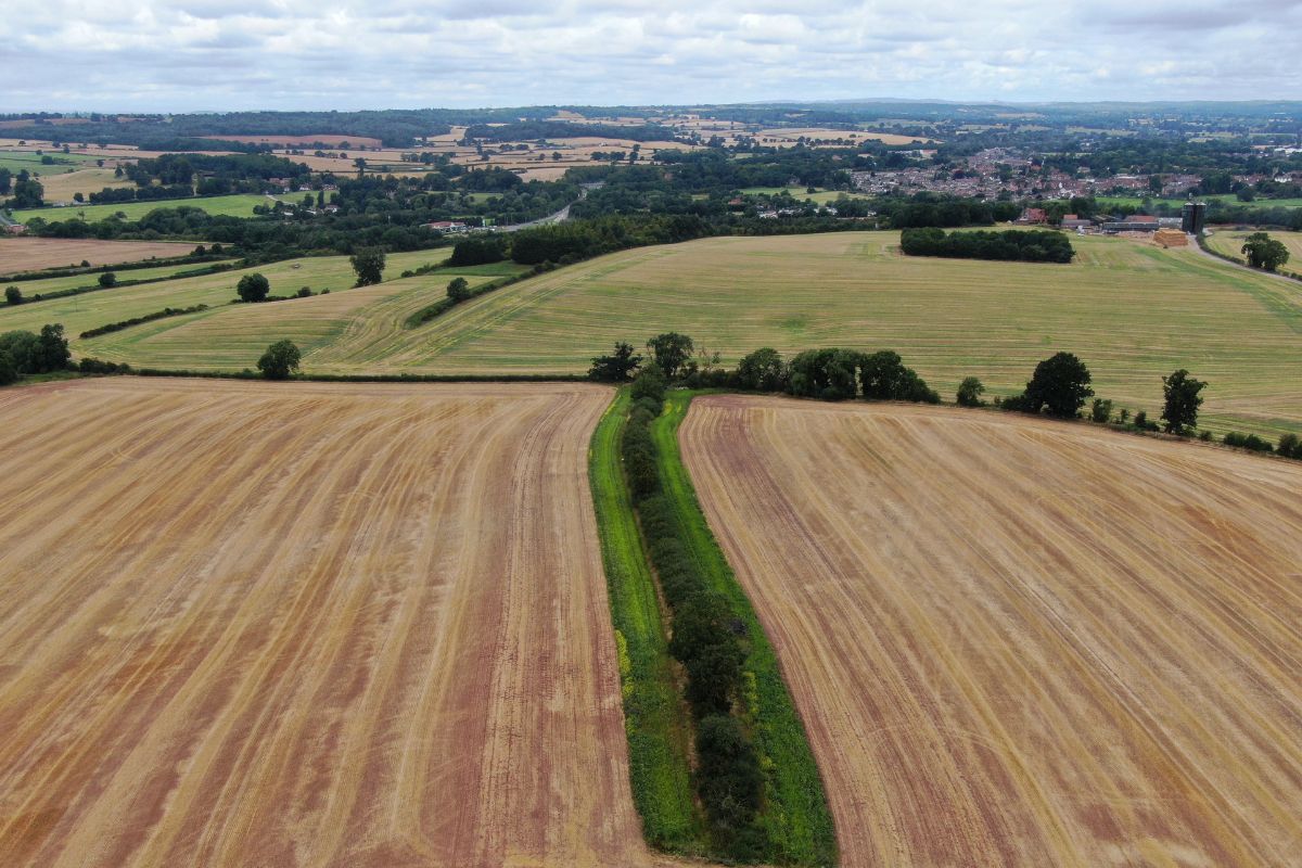 Simplifying SFI - Crop Production Magazine