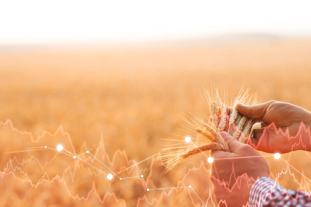 Grain marketing: Feeding the world - Crop Production Magazine
