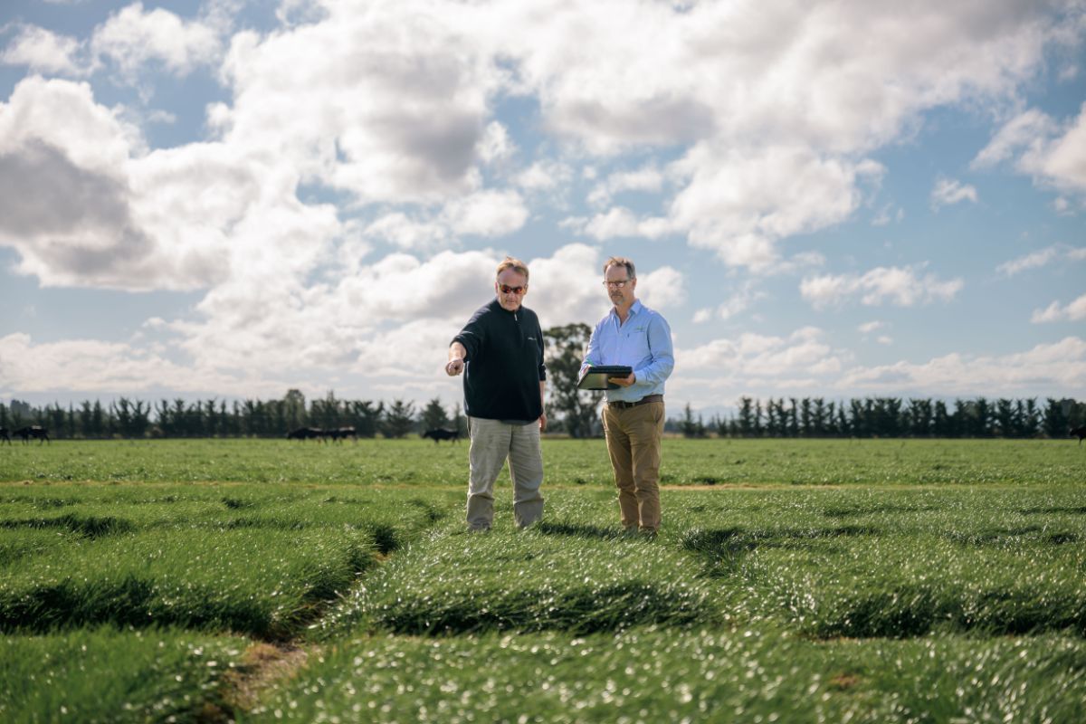 Sugar beet agronomy: Pest-killing grass - Crop Production Magazine