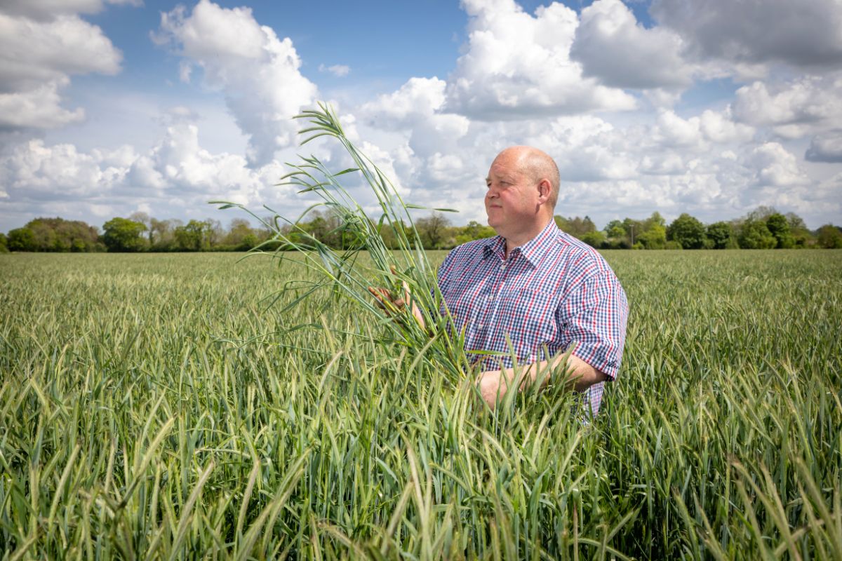 Biogas - Growing for gas - Crop Production Magazine