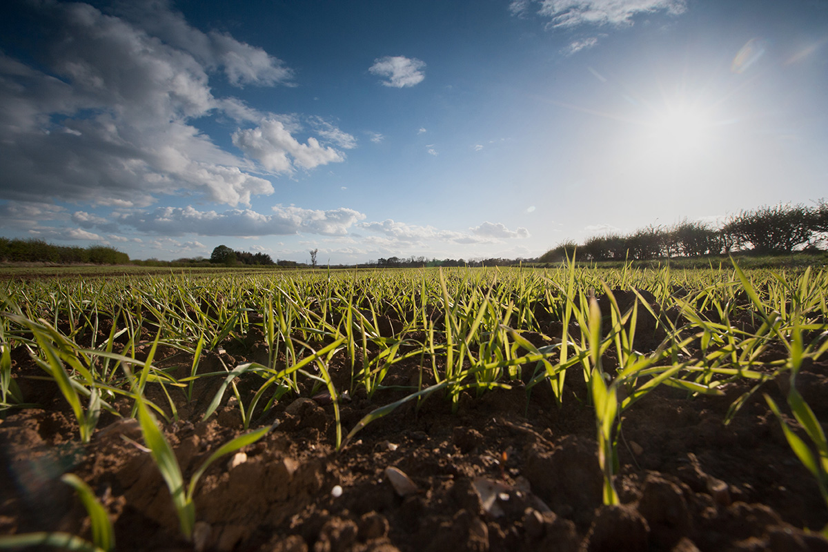Biostimulants survey: Powering sustainable growth - Crop Production ...