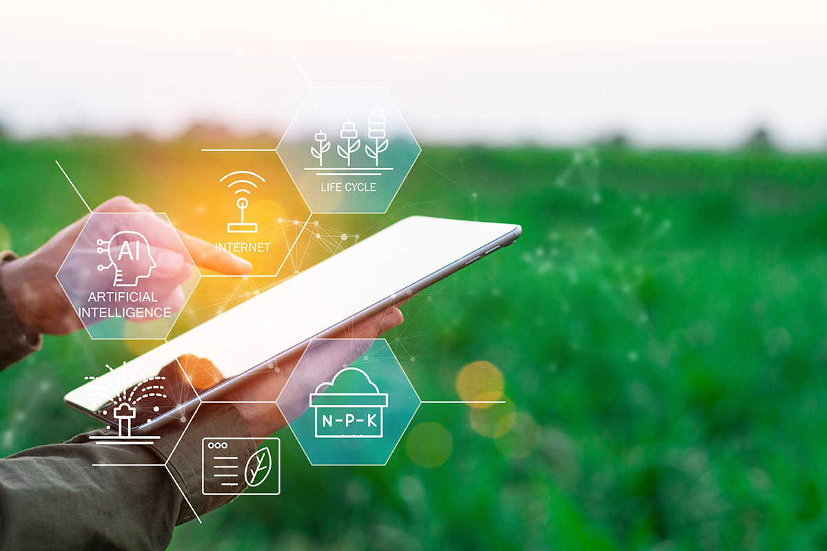 Agronomy careers: Walking the world, not just fields - Crop Production ...