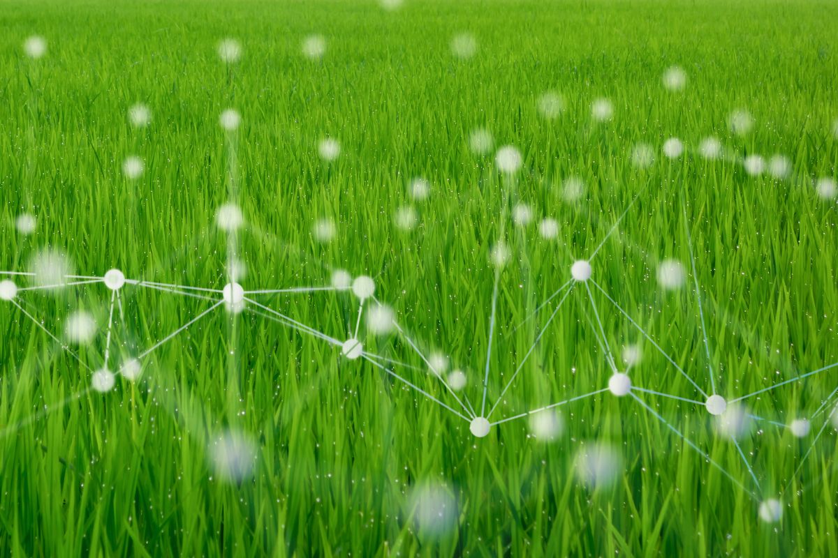 BOFIN on-farm innovation Archives - Crop Production Magazine